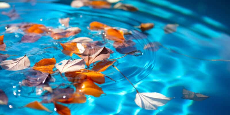Tips For Pool Leaf Removal | Get Leaves Out of Your Pool | Hyclor
